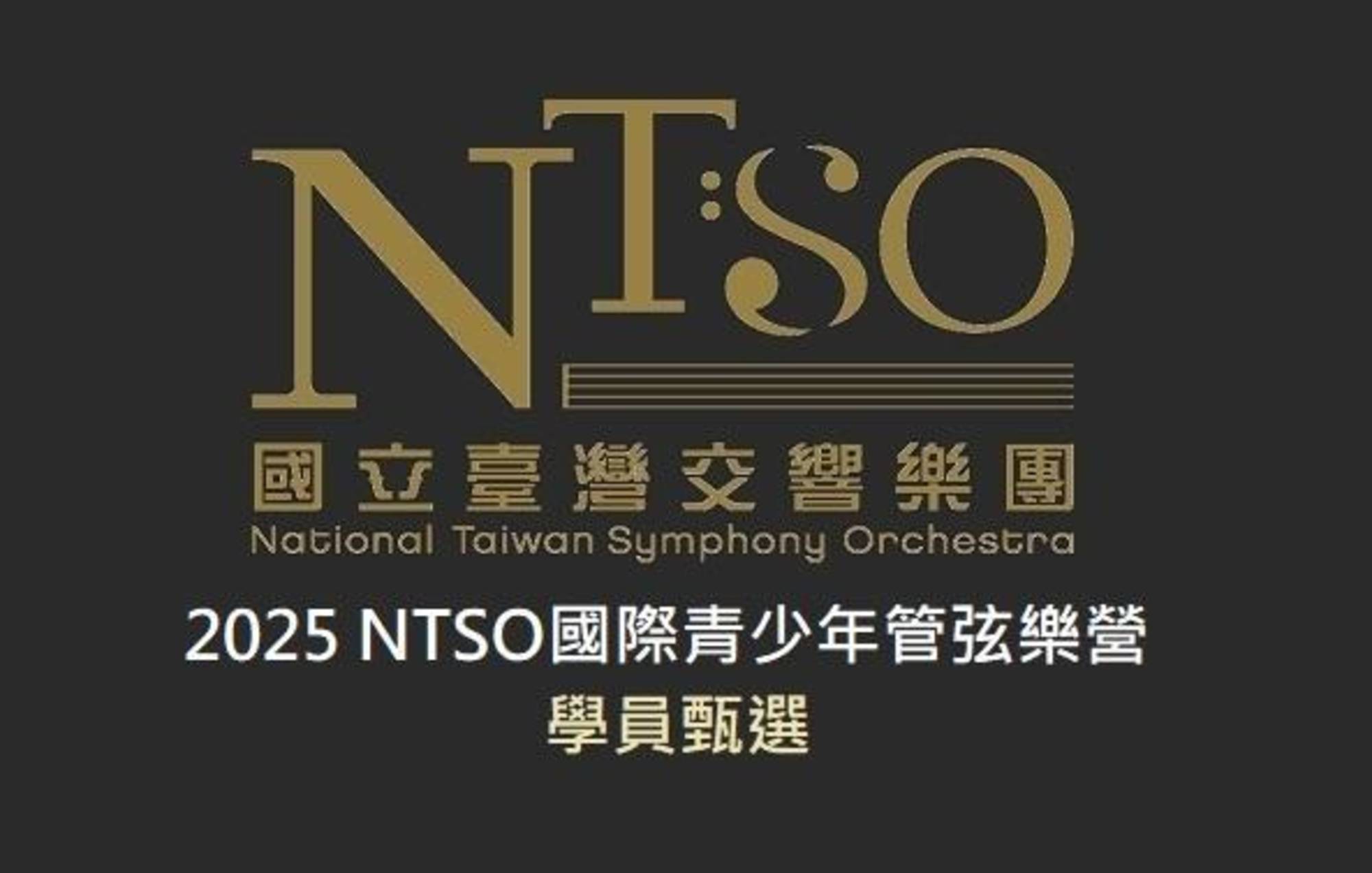 Application for NTSO International Youth Orchestra Camp 2025 opens - Cultural and Educational ...